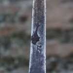 Un Fleuret Solingen N°5 de la manufacture Weyersberg